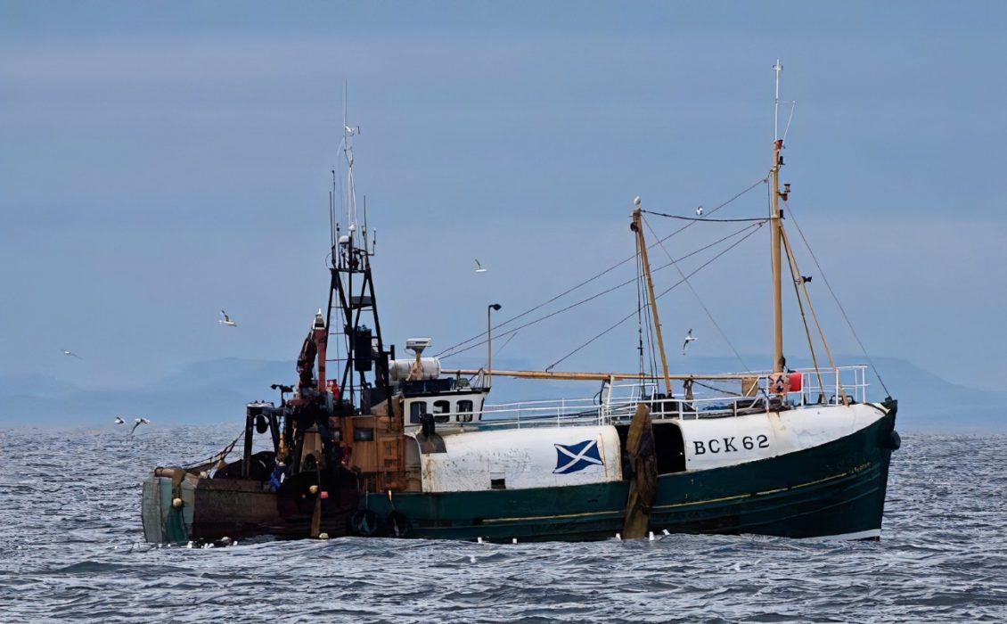 Fishing Liaison - OceanIQ